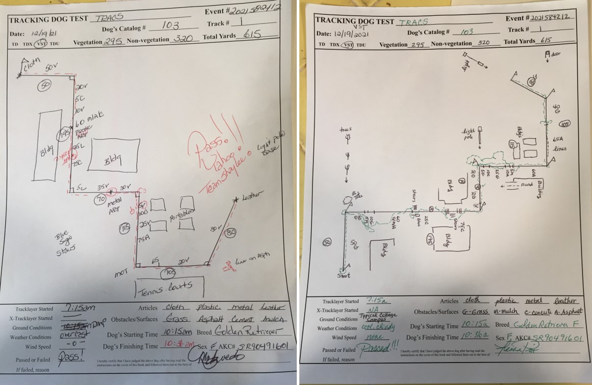 TRACS VST Dec 19 2021 | Two Rivers Agility Club | agiltracs.org